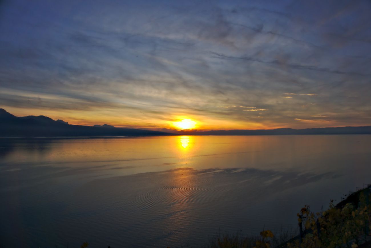 région du lac leman : promenade dans le Lavaux et ses vignes