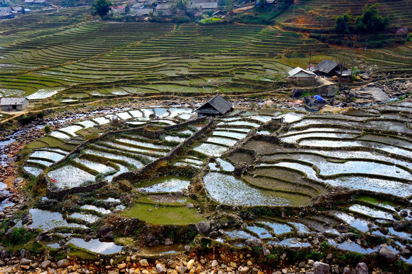 Sapa: notre guide pour un trek dans les rizières du nord du Vietnam