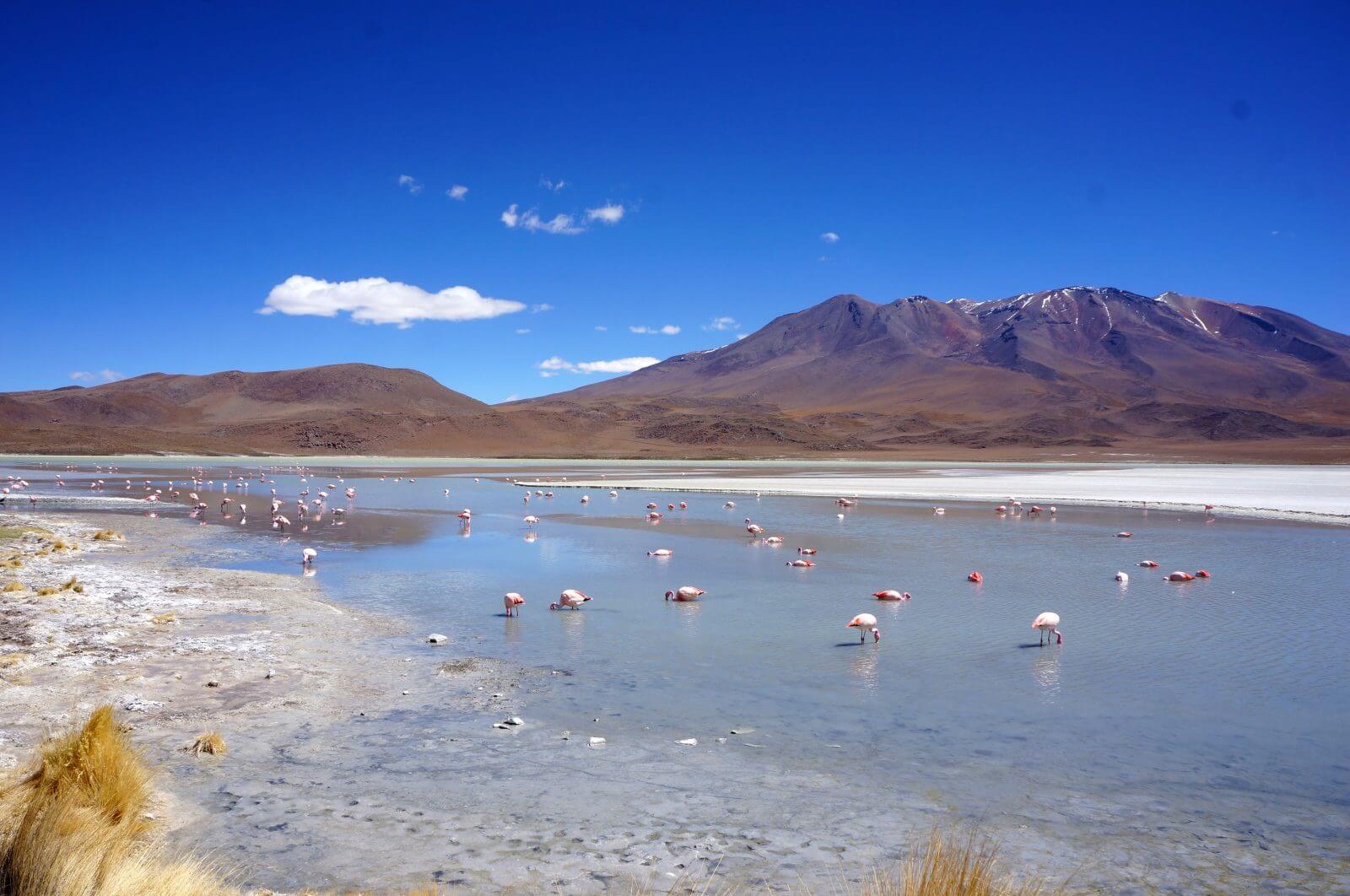 The Uyuni Salt Flats, Laguna Verde and Geysers: our travel tips