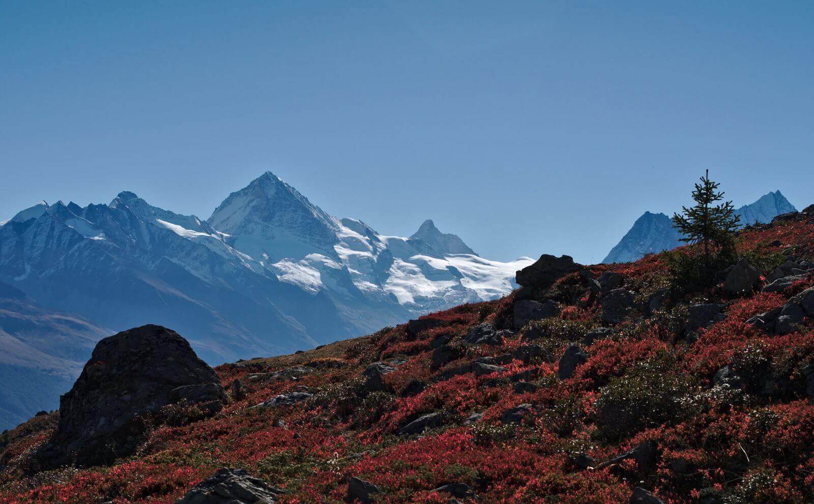 My absolute favorites in Valais, Switzerland - off the beaten track
