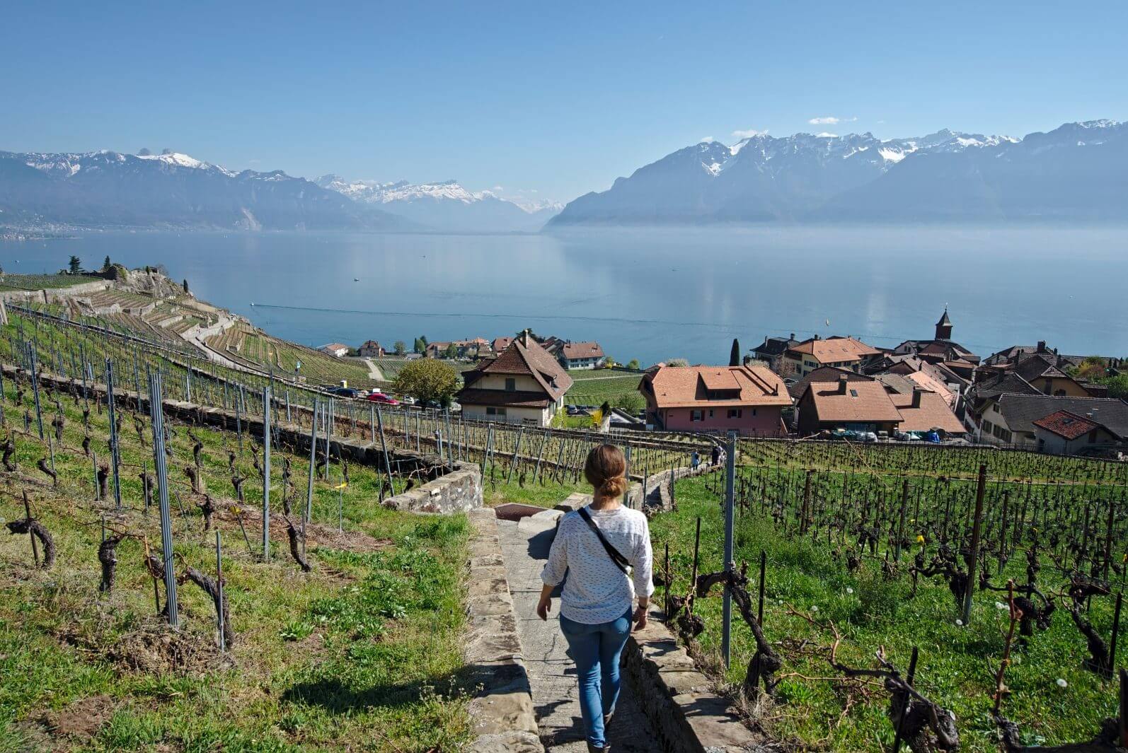 région du lac leman : promenade dans le Lavaux et ses vignes