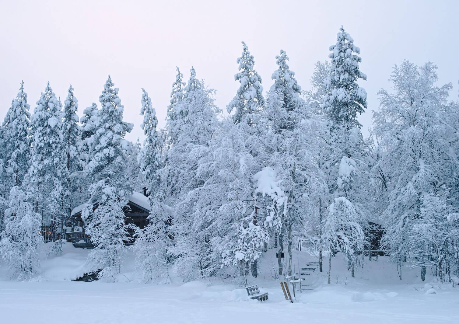 Laponie : voyage à Ruka dans le nord de la Finlande