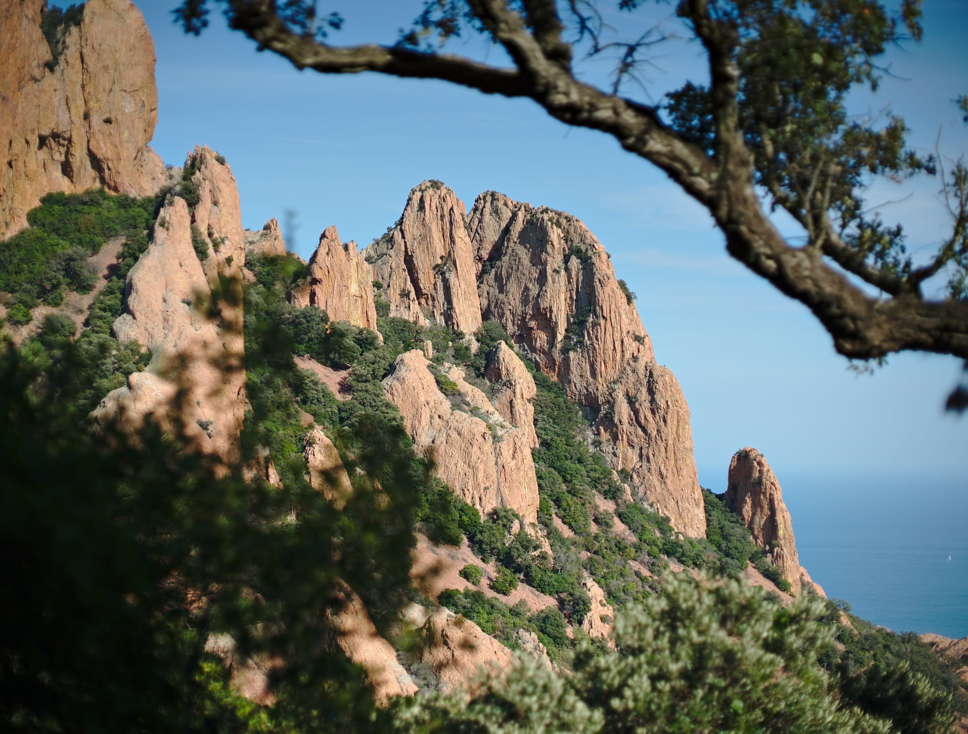Rando au pic du Cap Roux dans le massif de l'Estérel