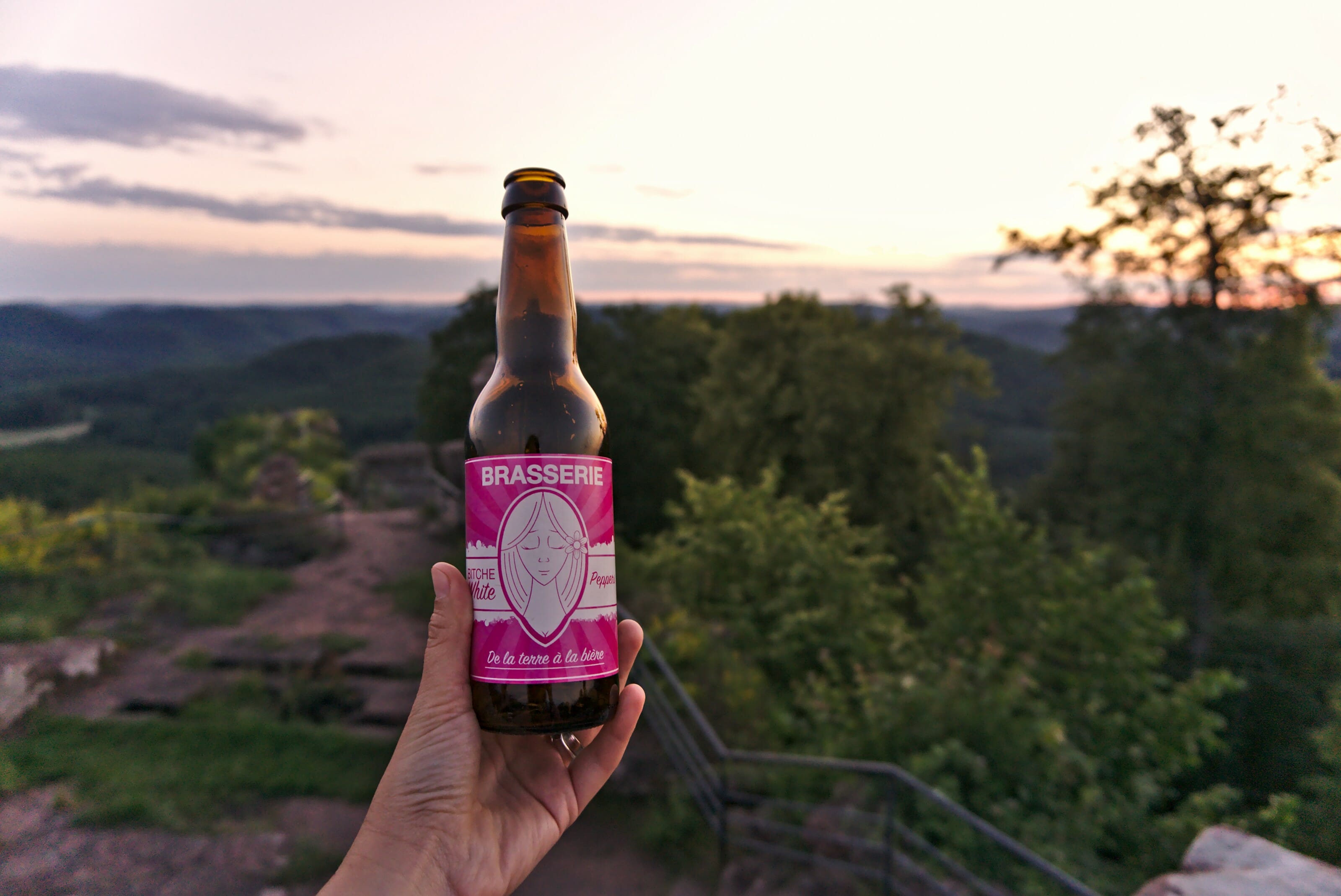 Bitche in France: our hiking itineraries in the northern Vosges