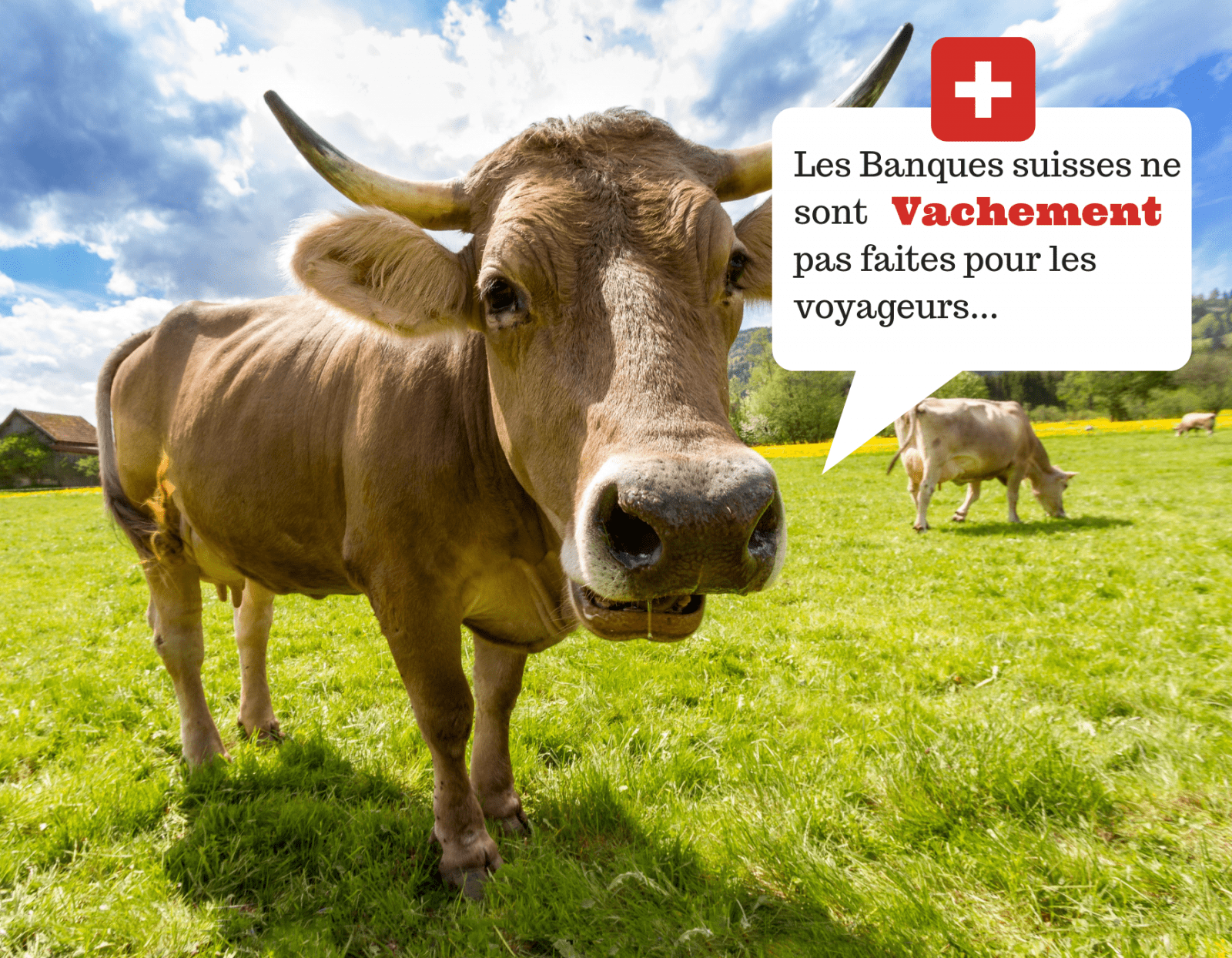 Faire le tour du monde: le dossier complet pour préparer un grand voyage