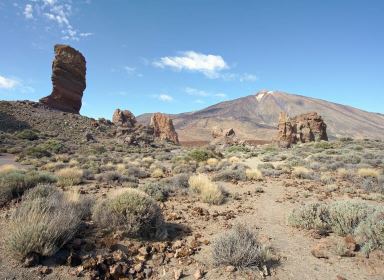 Hiking mount Teide by night - all detailed infos (+ Map and gpx)