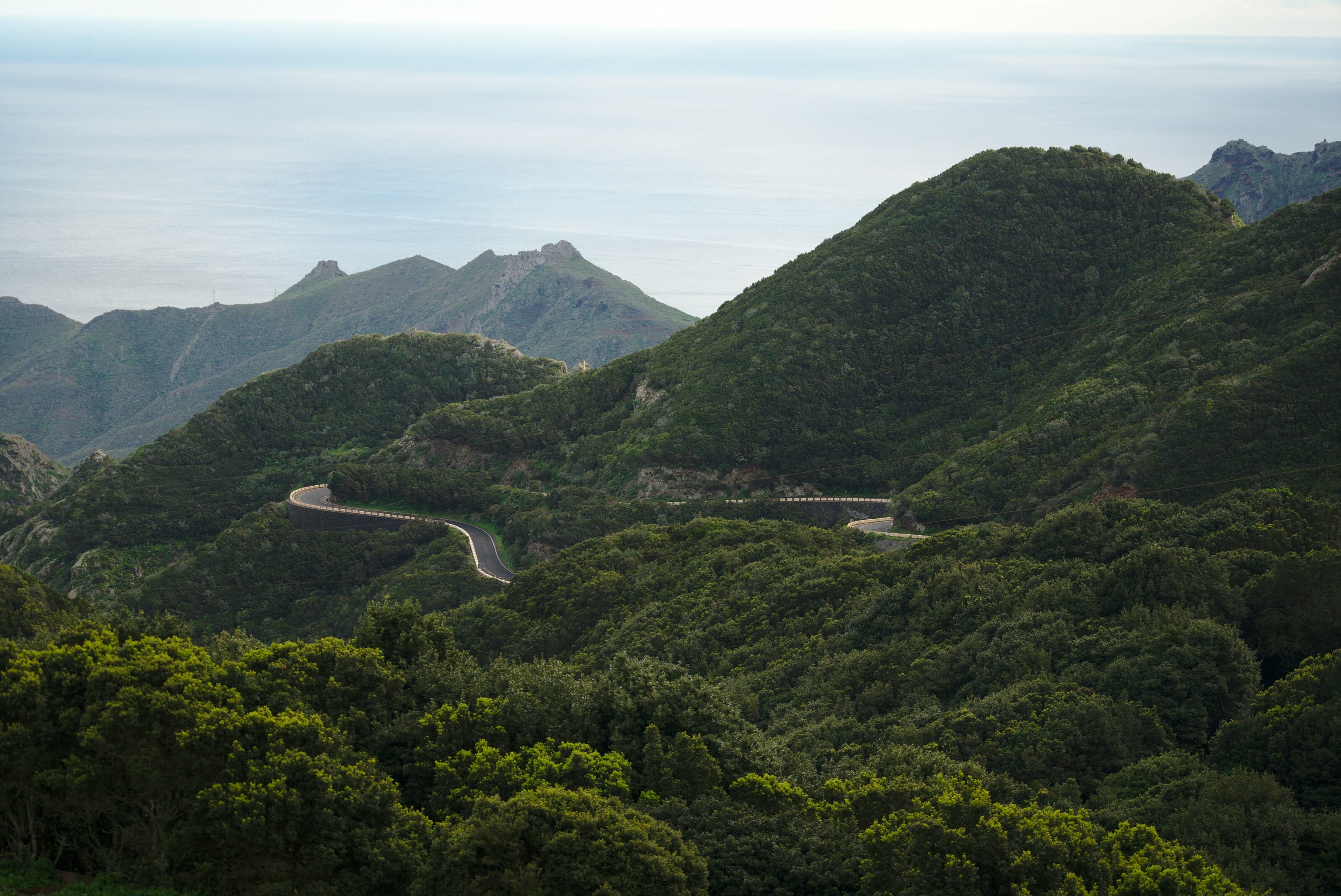 Trekking in Tenerife: our 4-day itinerary in the Anaga Park
