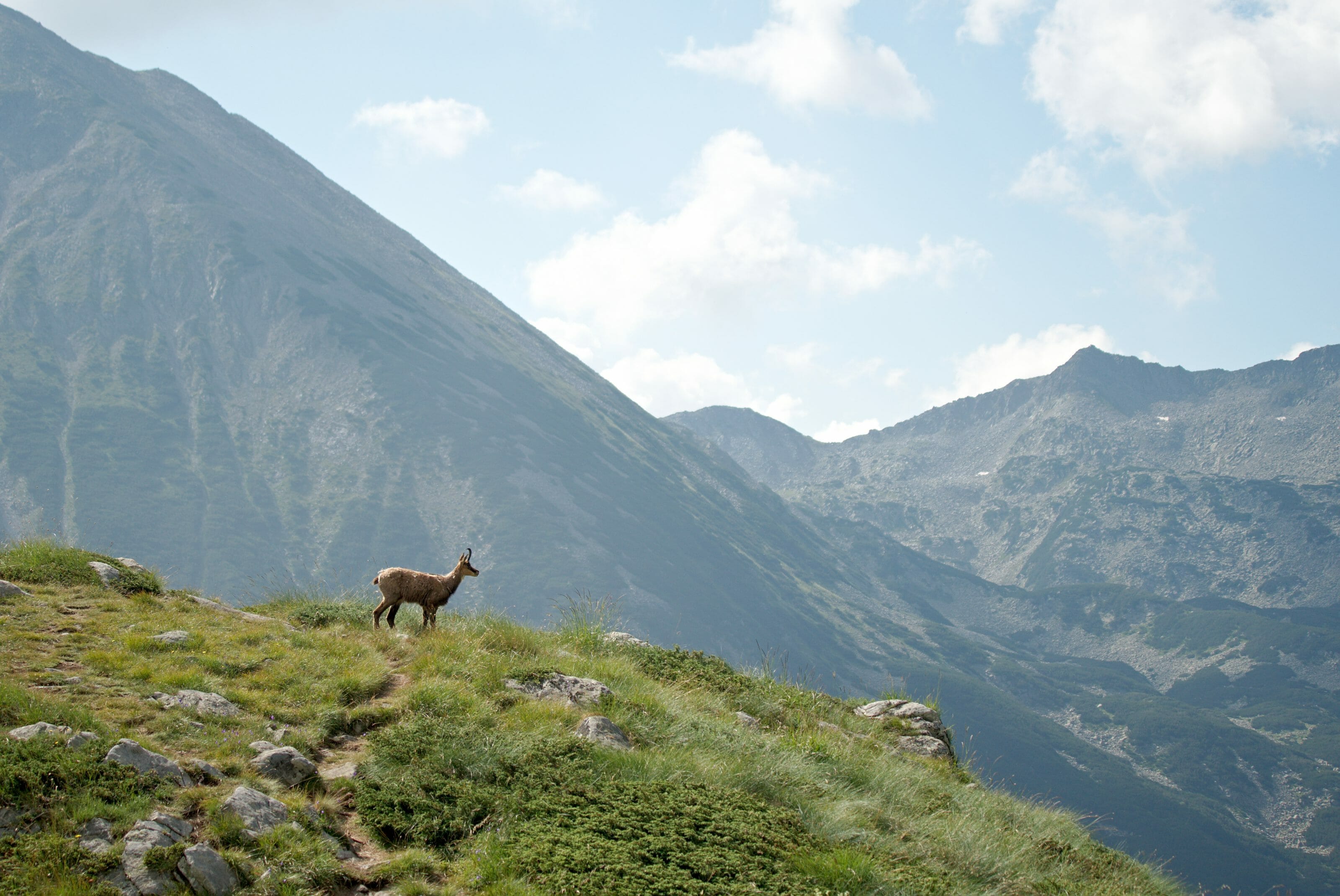 Hike the Koncheto ridge and Vihren peak - Pirin National Park