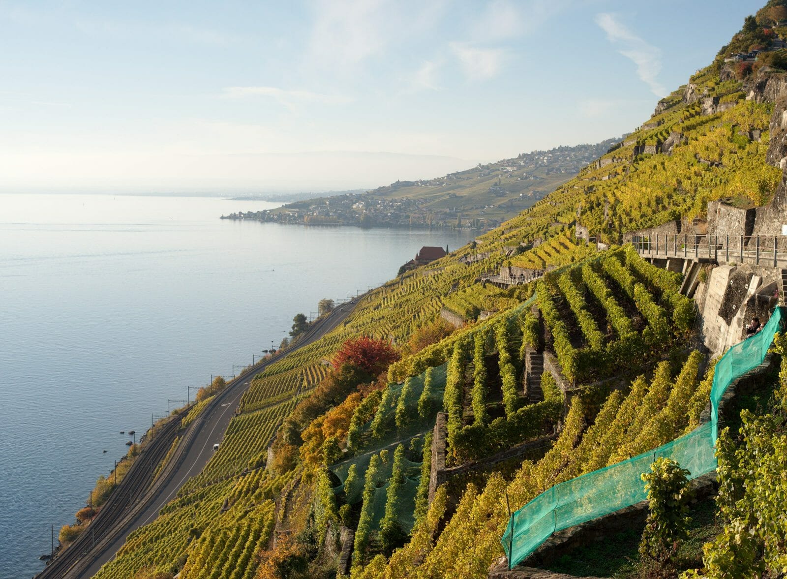 région du lac leman : promenade dans le Lavaux et ses vignes