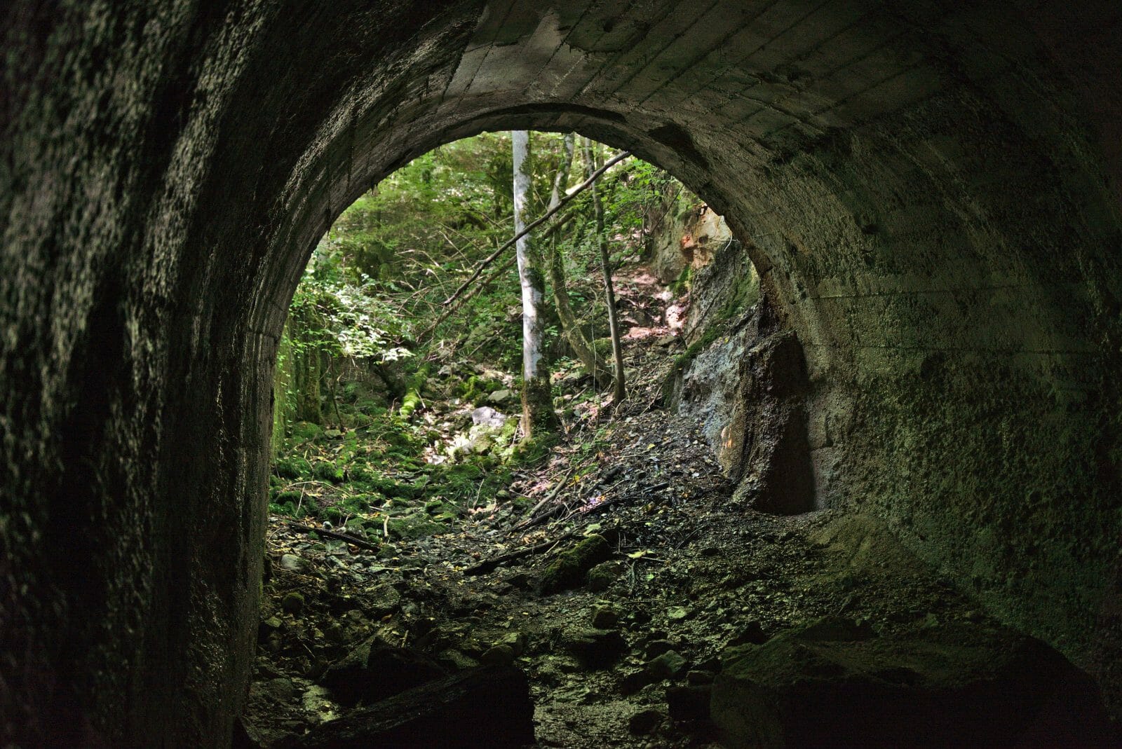 Visit of Vallorbe: the Orbe gorges, the caves and the Dent de Vaulion