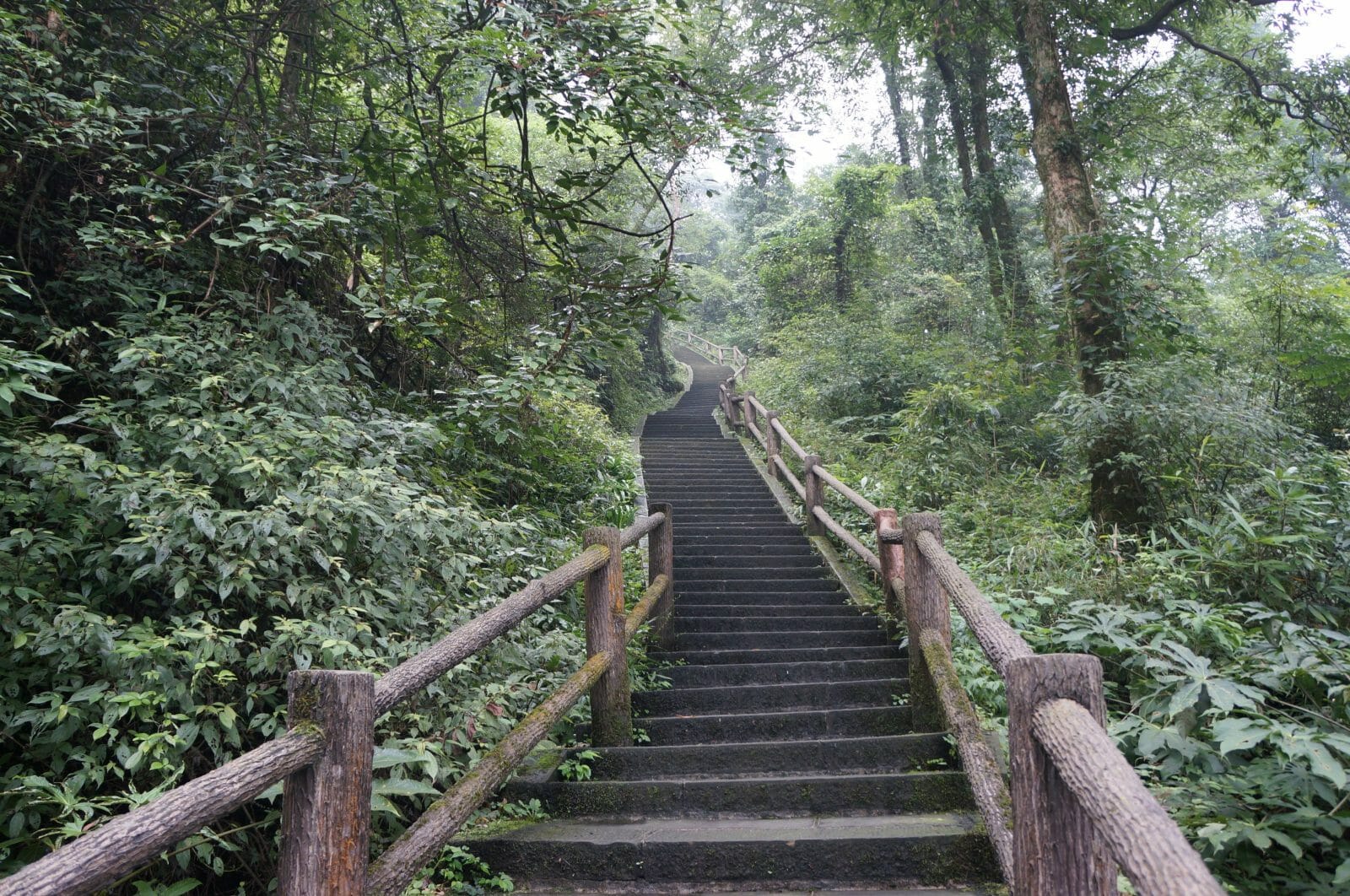 Mount Emei in China: hiking to the top of this sacred mountain