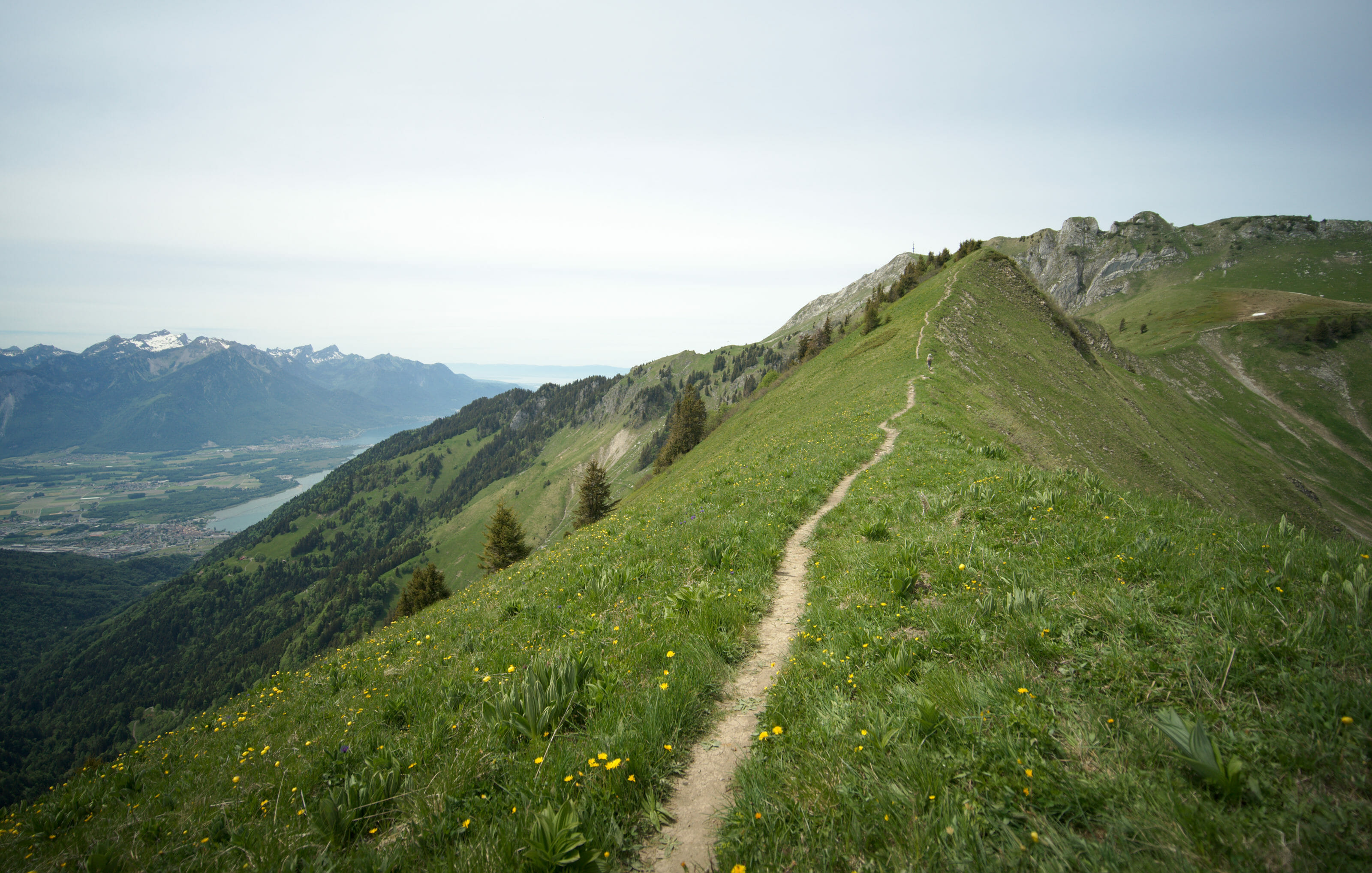 Randonnée entre le sommet de Malatraix et le Rocher-de-Naye