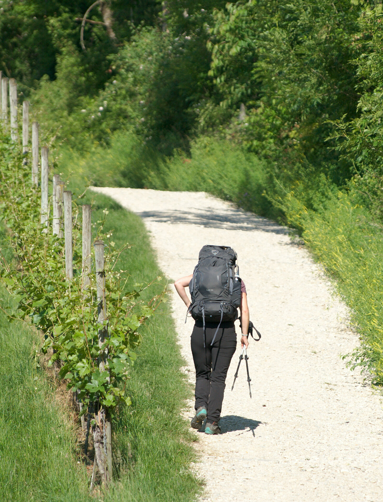 Complete guide to Bivouac / wild camping: Definition, essential gear, tips