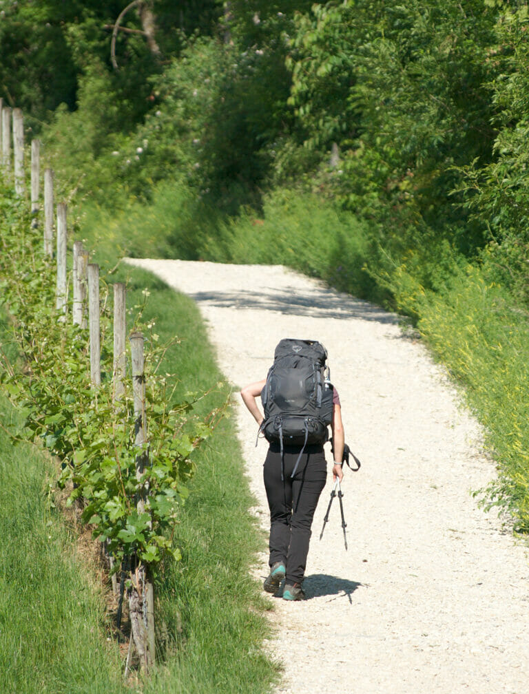 Complete guide to Bivouac / wild camping: Definition, essential gear, tips