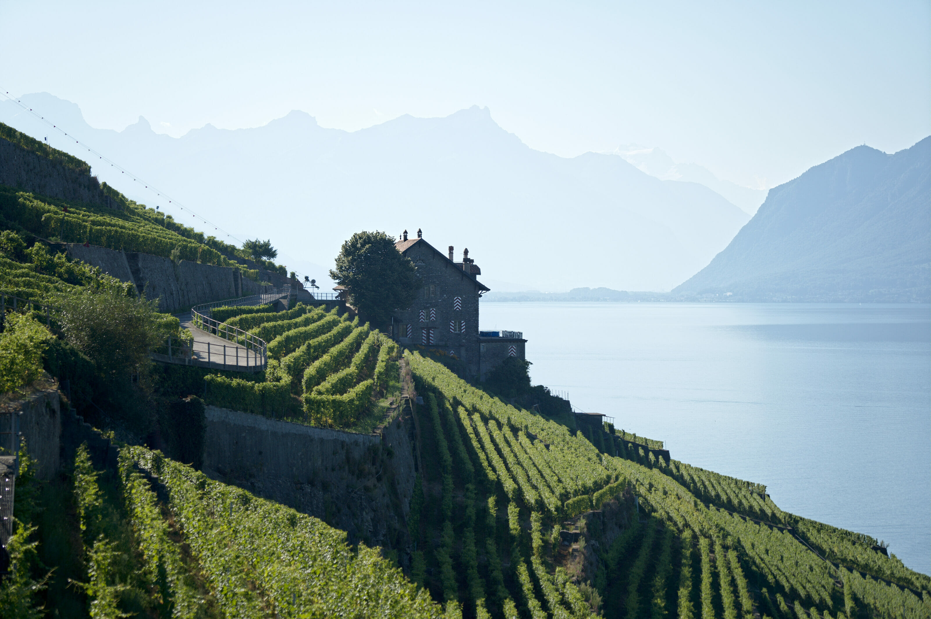 The most beautiful panoramic trains in Switzerland: our tips