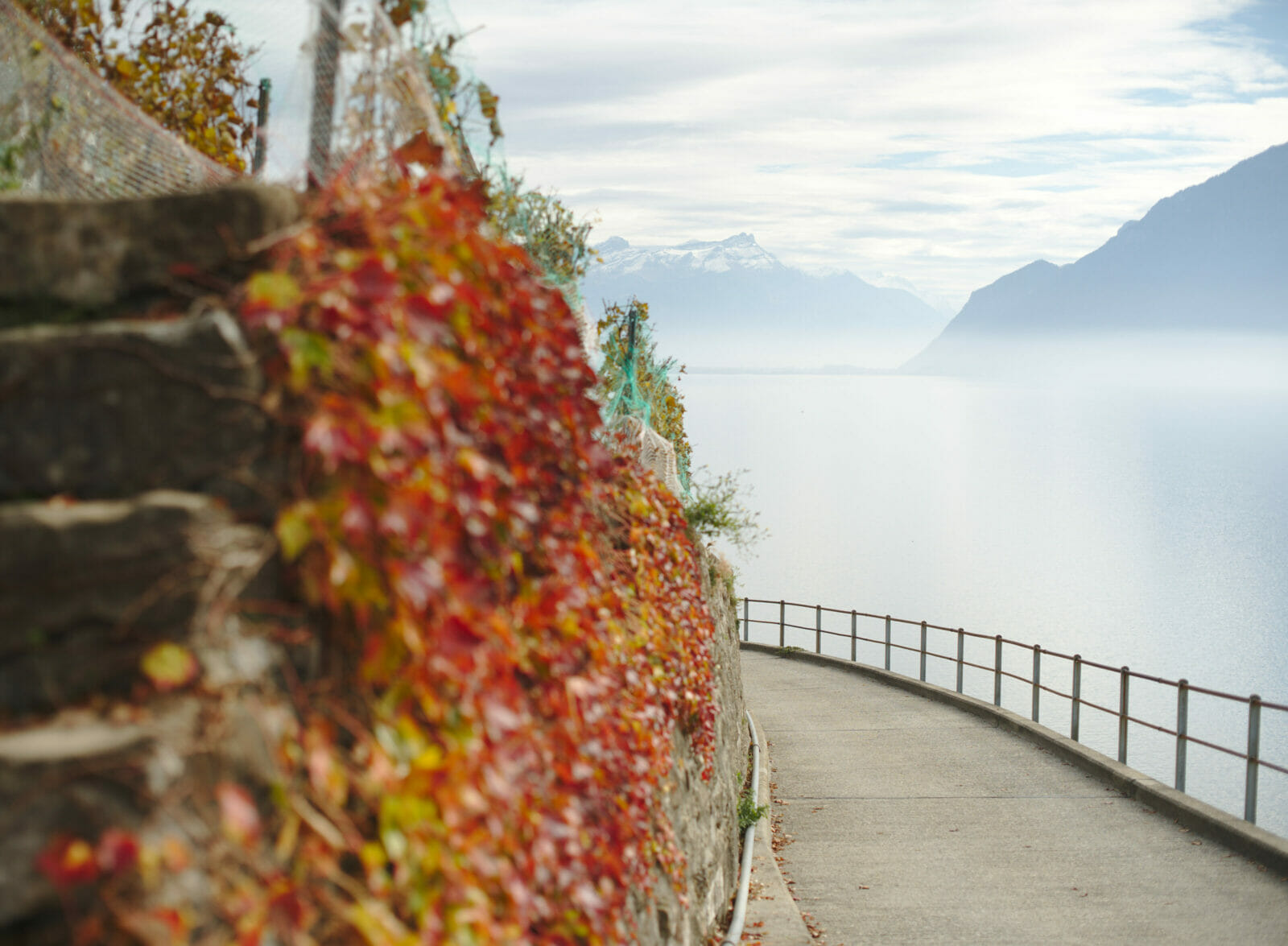 région du lac leman : promenade dans le Lavaux et ses vignes
