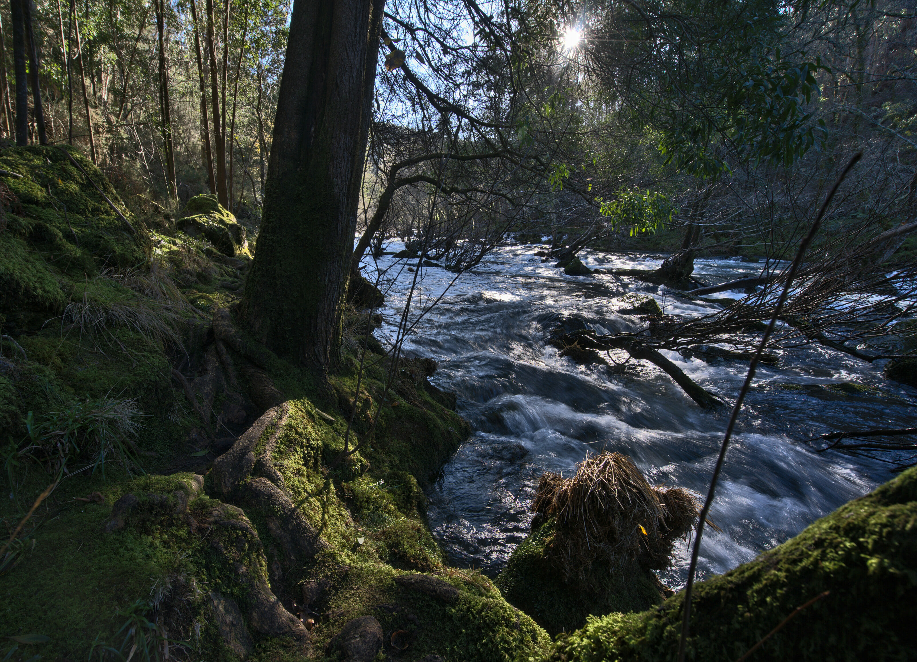 Galicia: 7 hikes ideas to discover the Pontevedra region