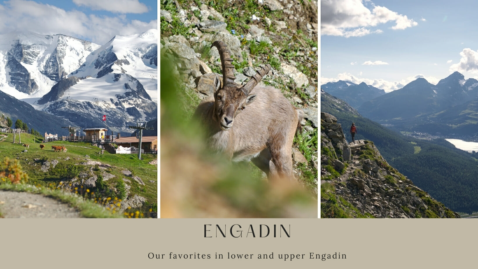 Best things to do in Engadin and in the Swiss National Park