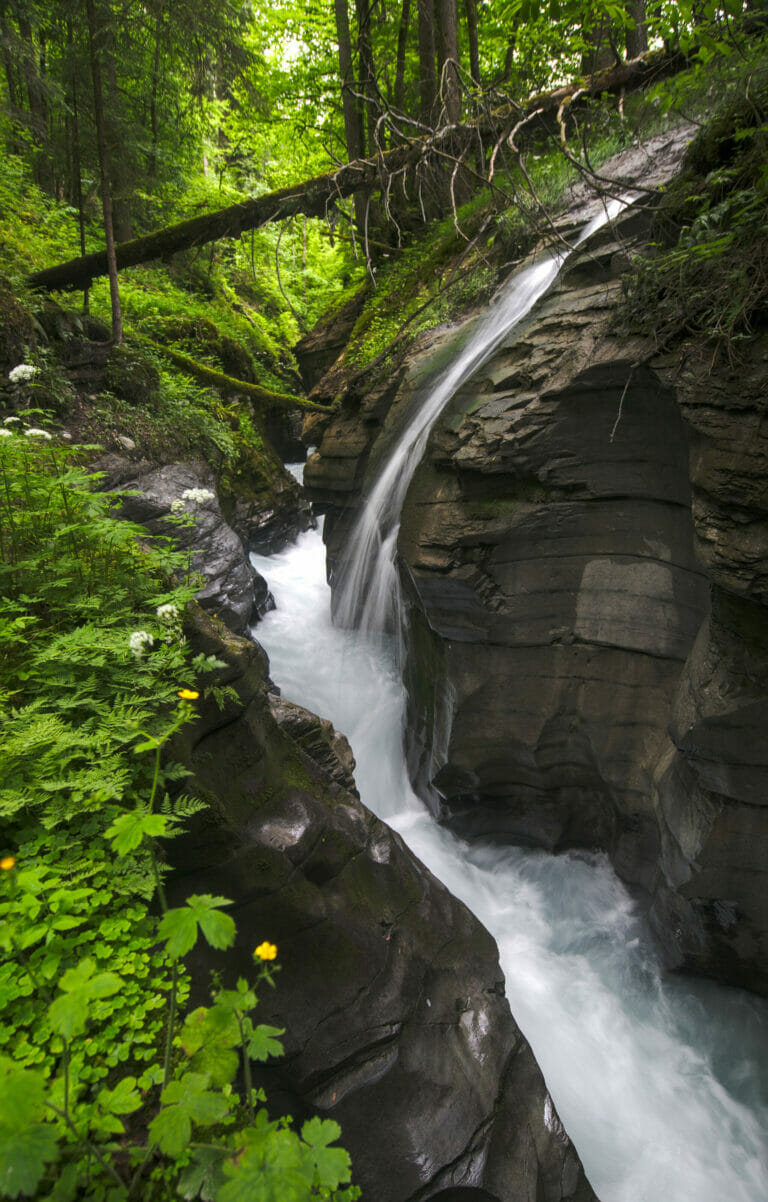 Source et gorges du Rhin (+ rando Caumasee - il Spir - Crestasee)