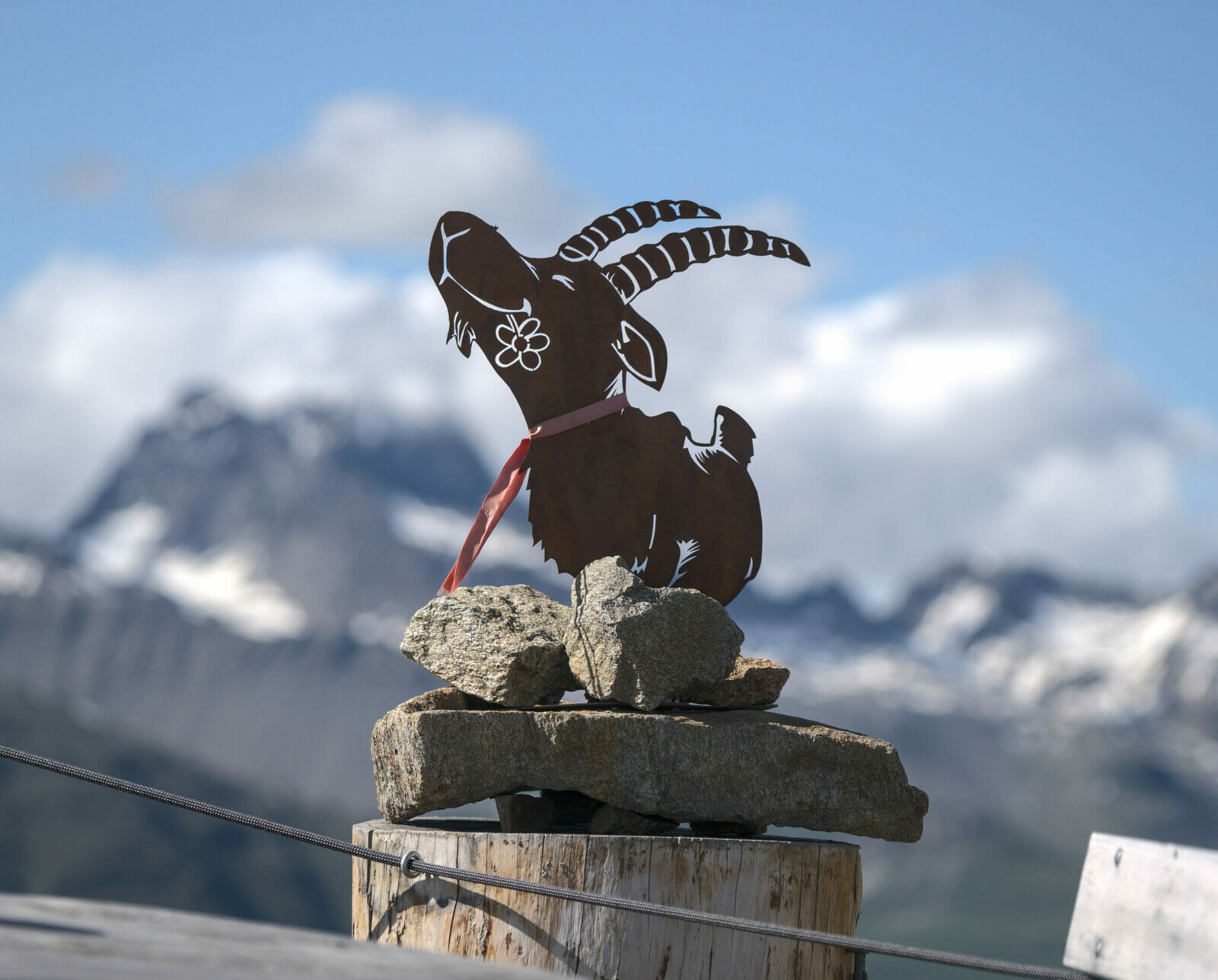 Our favorites in Engadin and in the Swiss National Park