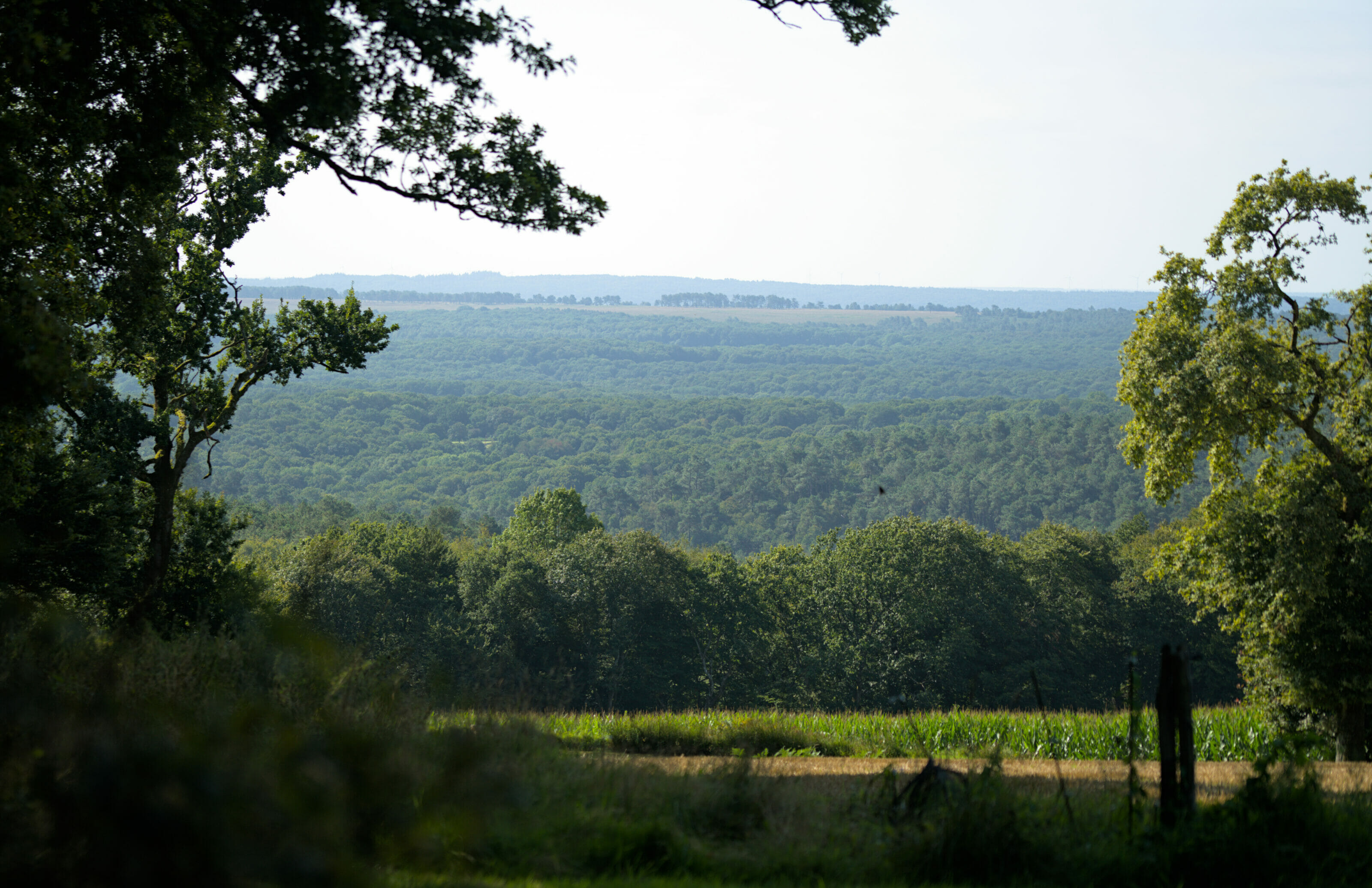 French Brittany: where to go and what to see?