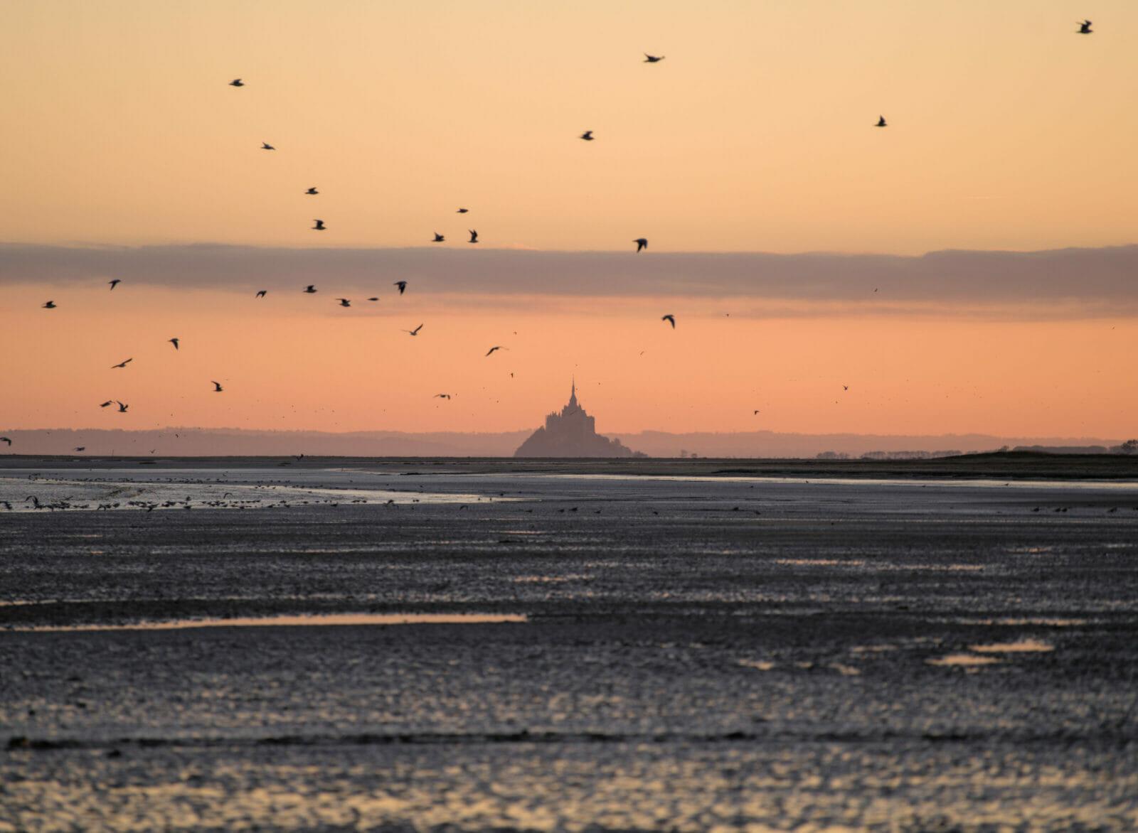 De Cherrueix à Saint-Brieuc par le Cap Fréhel: le nord de la côte bretonne