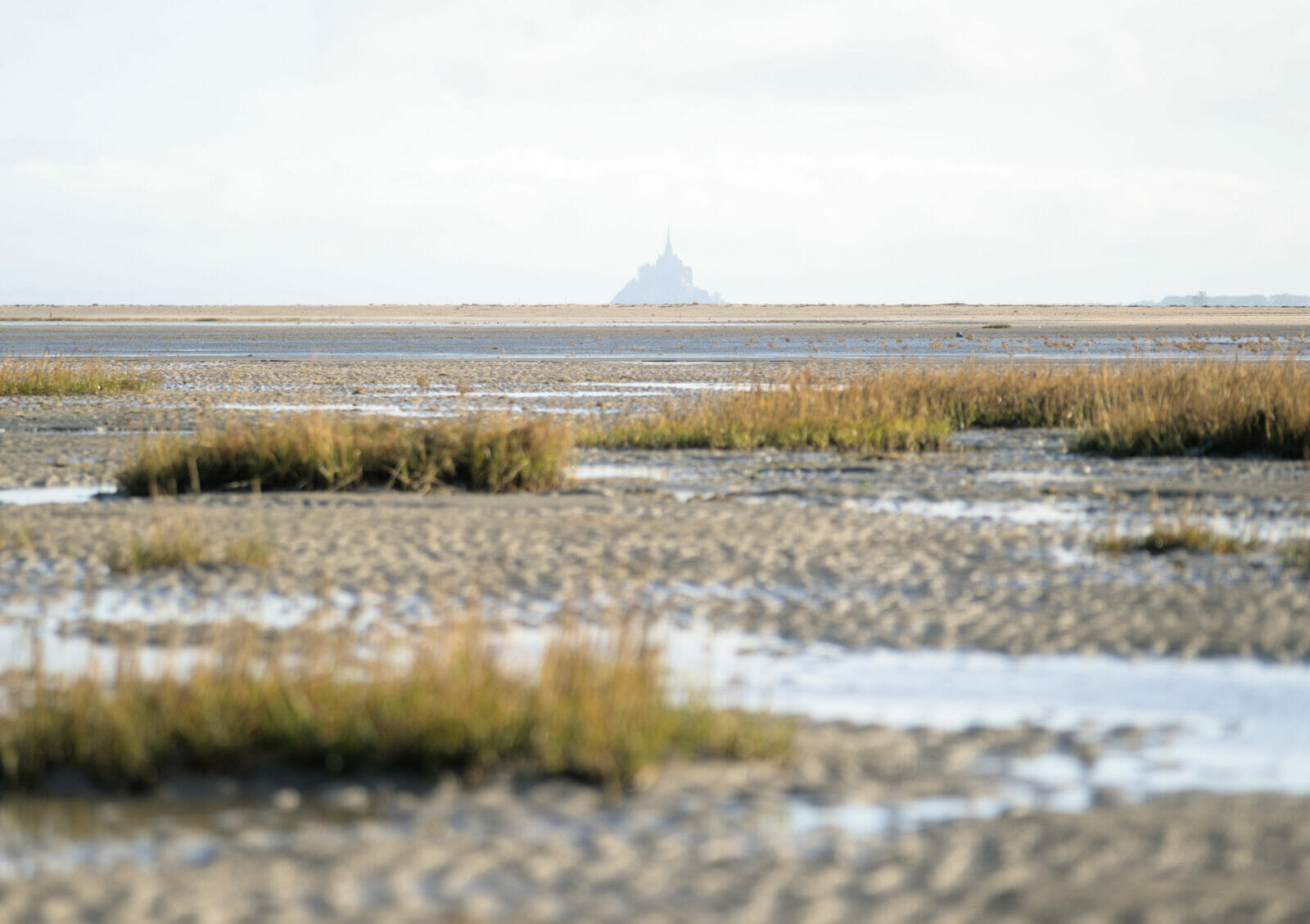 De Cherrueix à Saint-Brieuc par le Cap Fréhel: le nord de la côte bretonne