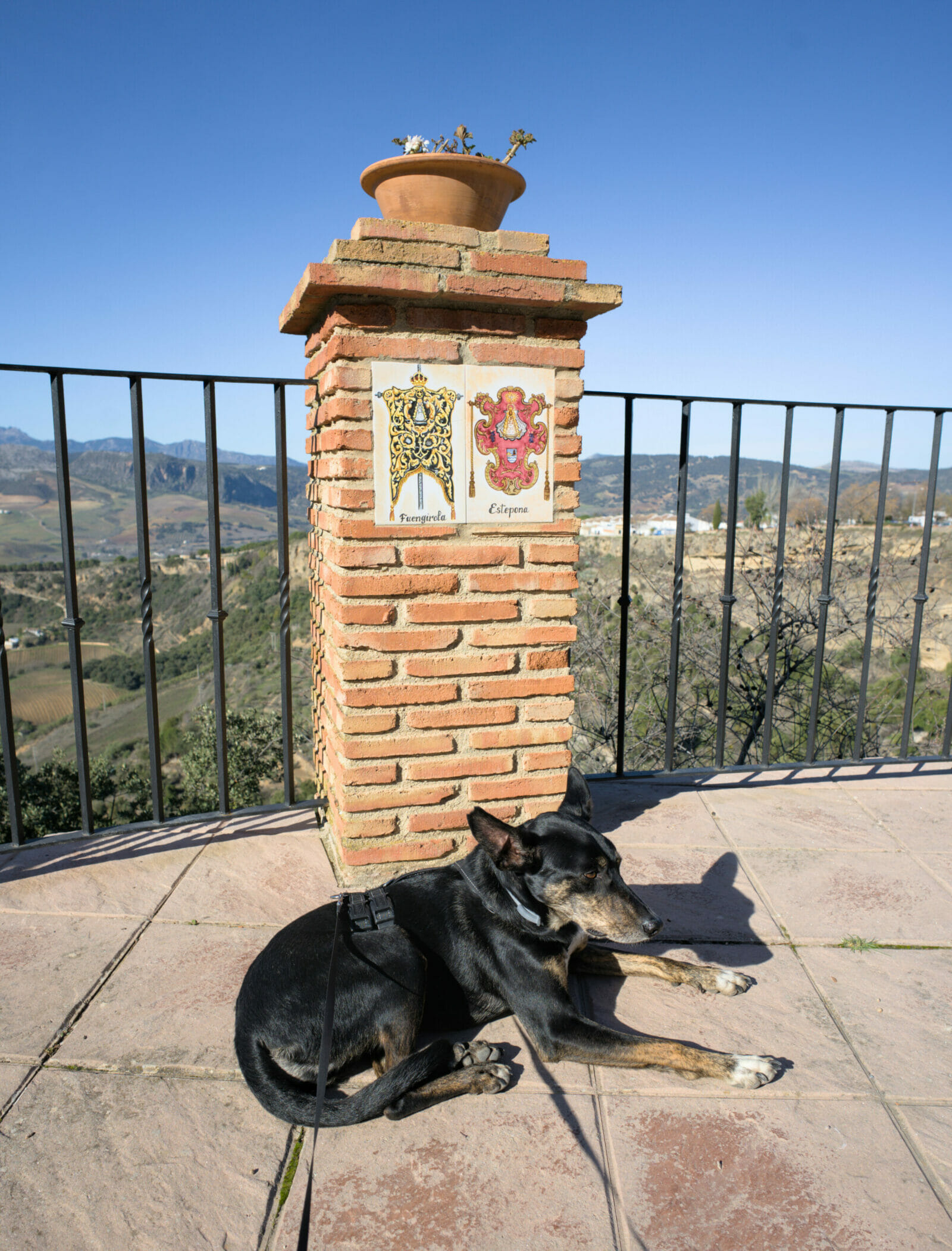 Visit Ronda in Andalusia: all the things you shouldn't miss (+ map)