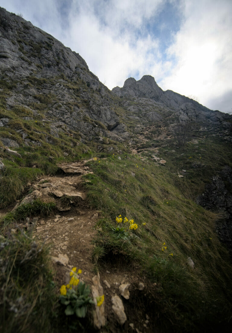 Ascent of Pico Gilbo (1679m) from the village of Riaño (map + GPX)