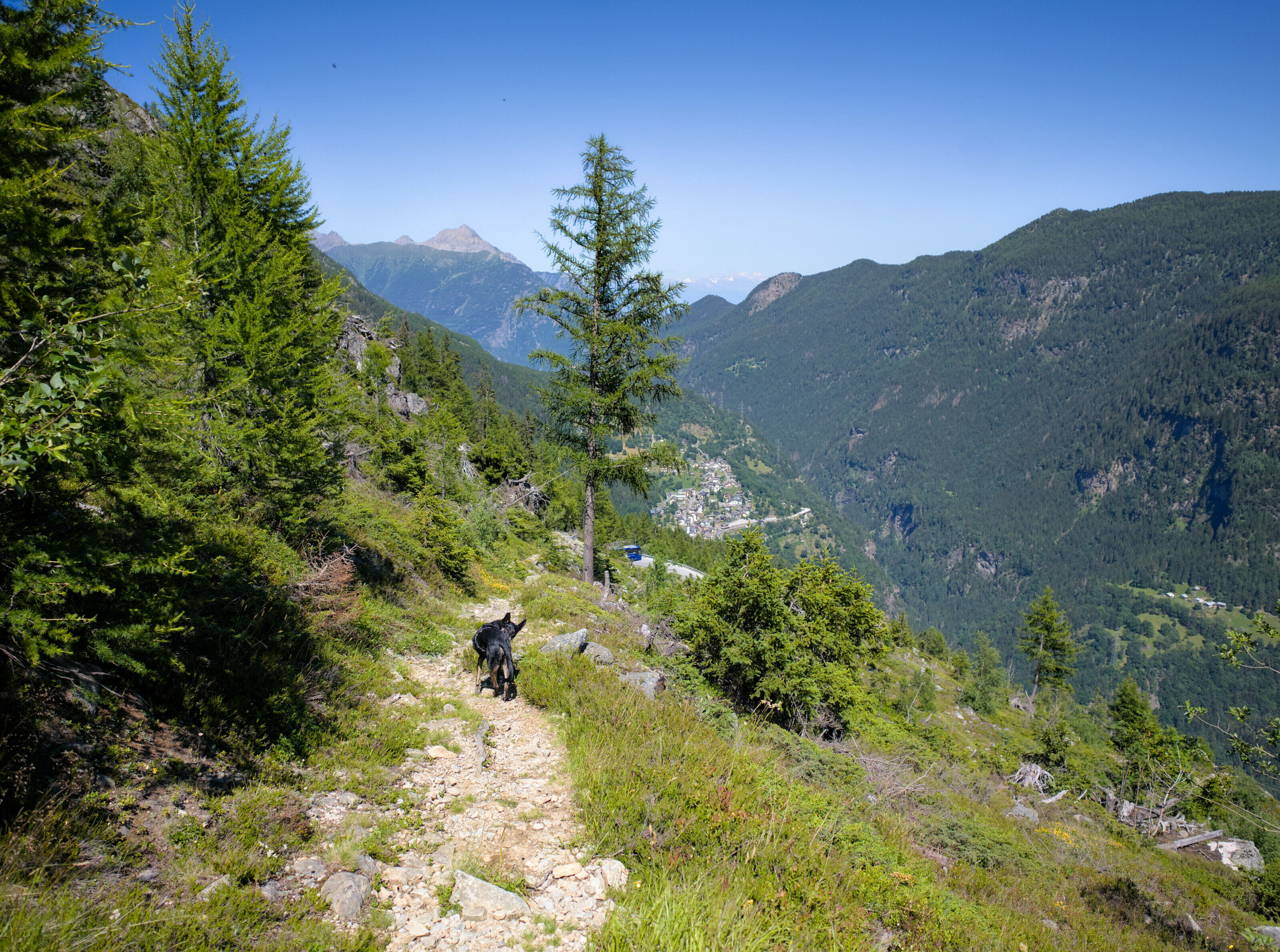 De Finhaut à Emosson: la randonnée du balcon du Mont-Blanc