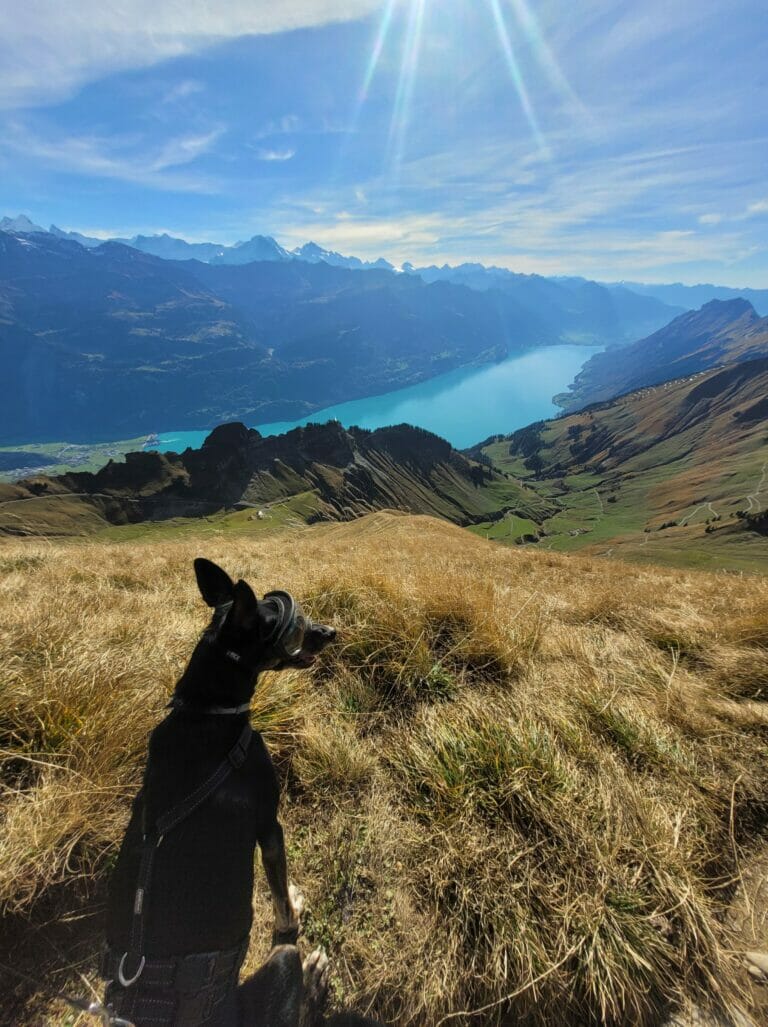 Brienzer Rothorn: a stunning panoramic hike to do in Switzerland