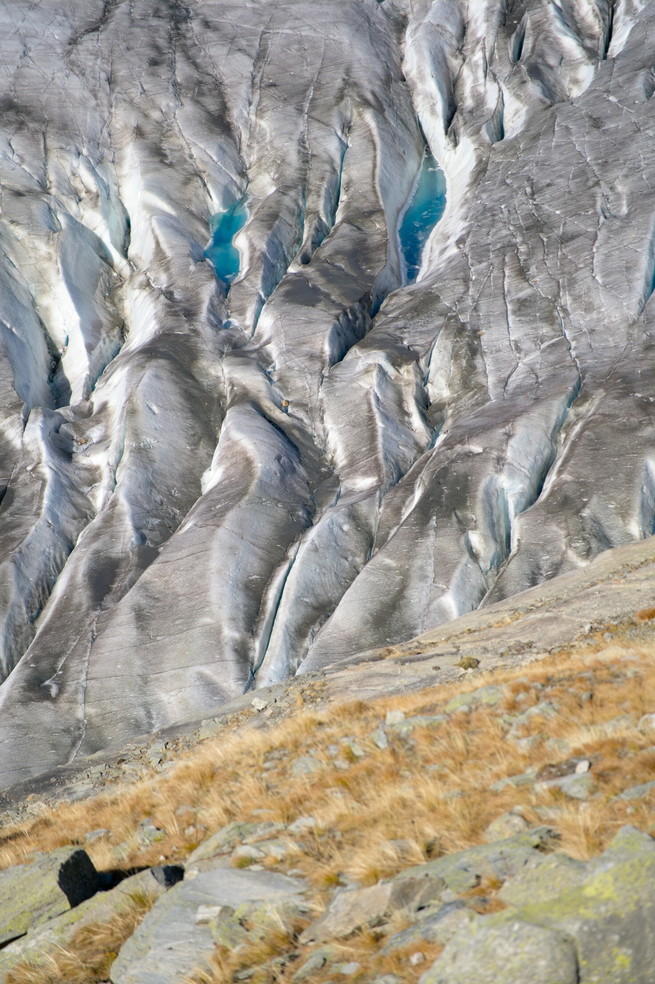 Hiking to see the Aletsch glacier: our practical guide (map + GPX)