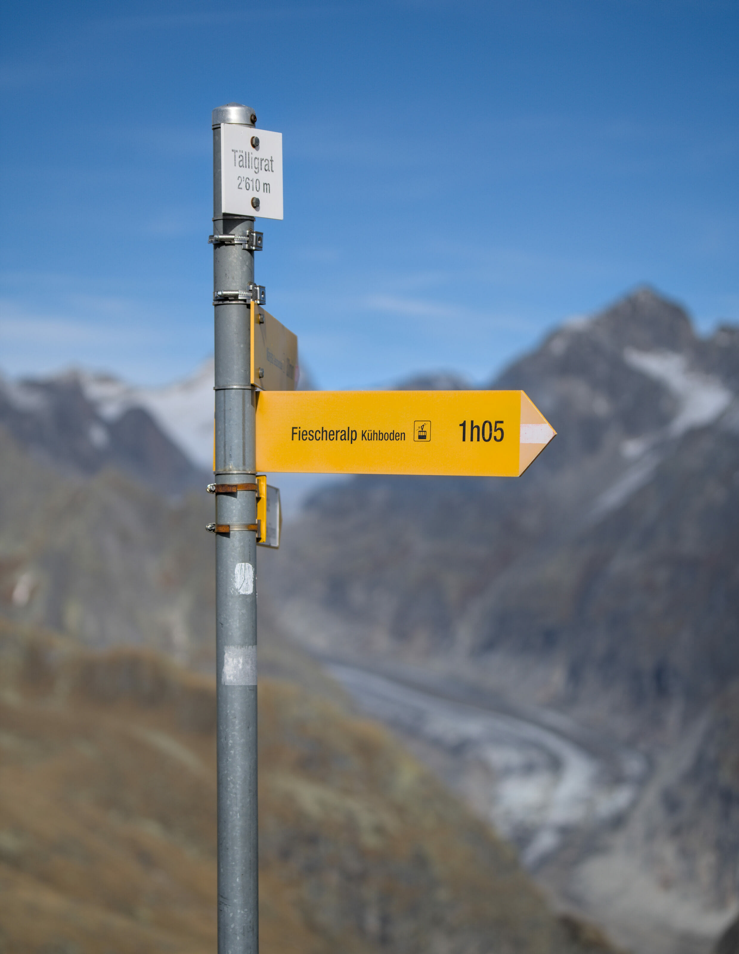 Hiking to see the Aletsch glacier: our practical guide (map + GPX)