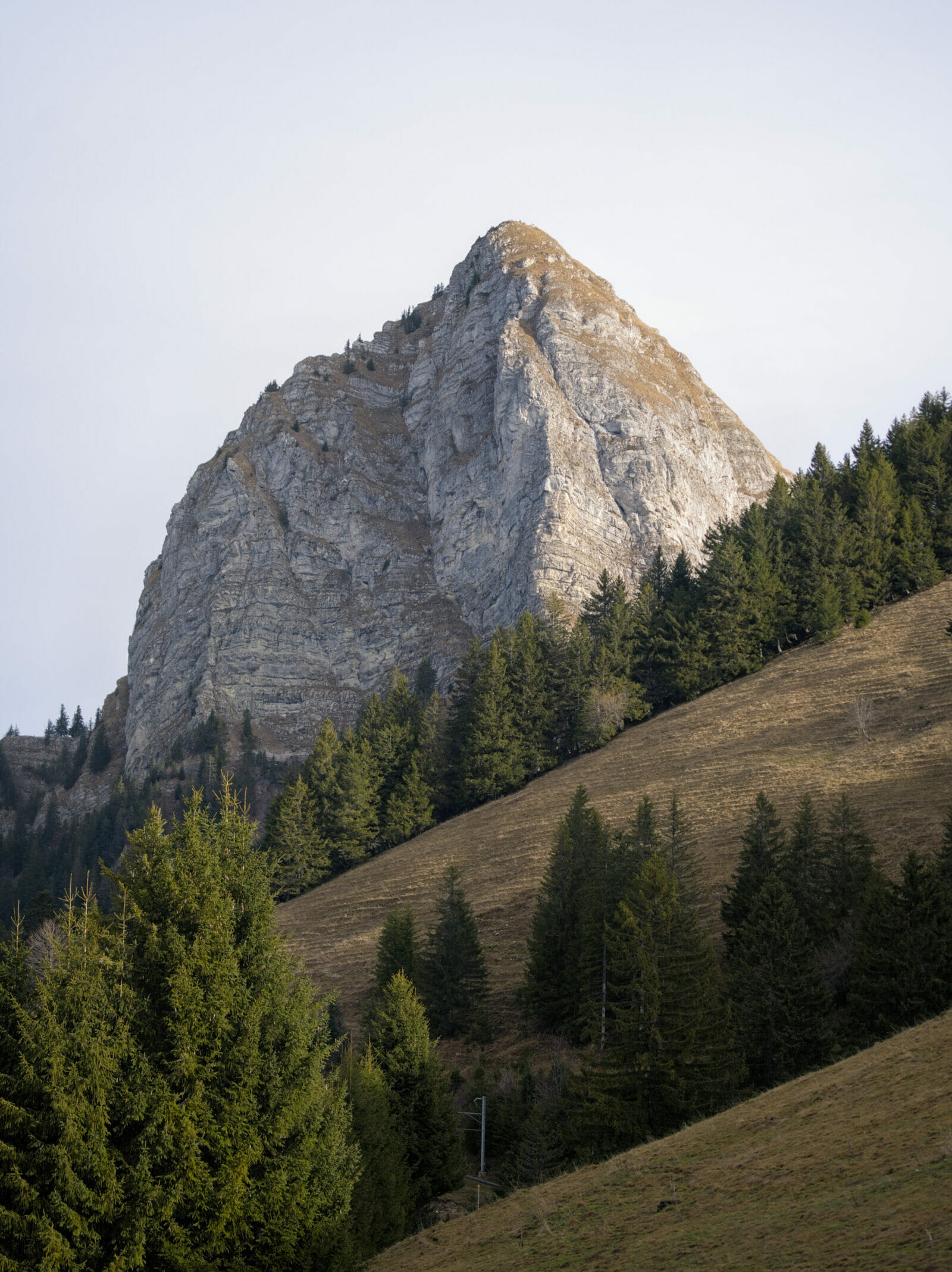 Dent de Jaman: a loop hike from Haut-de-Caux - near Lausanne