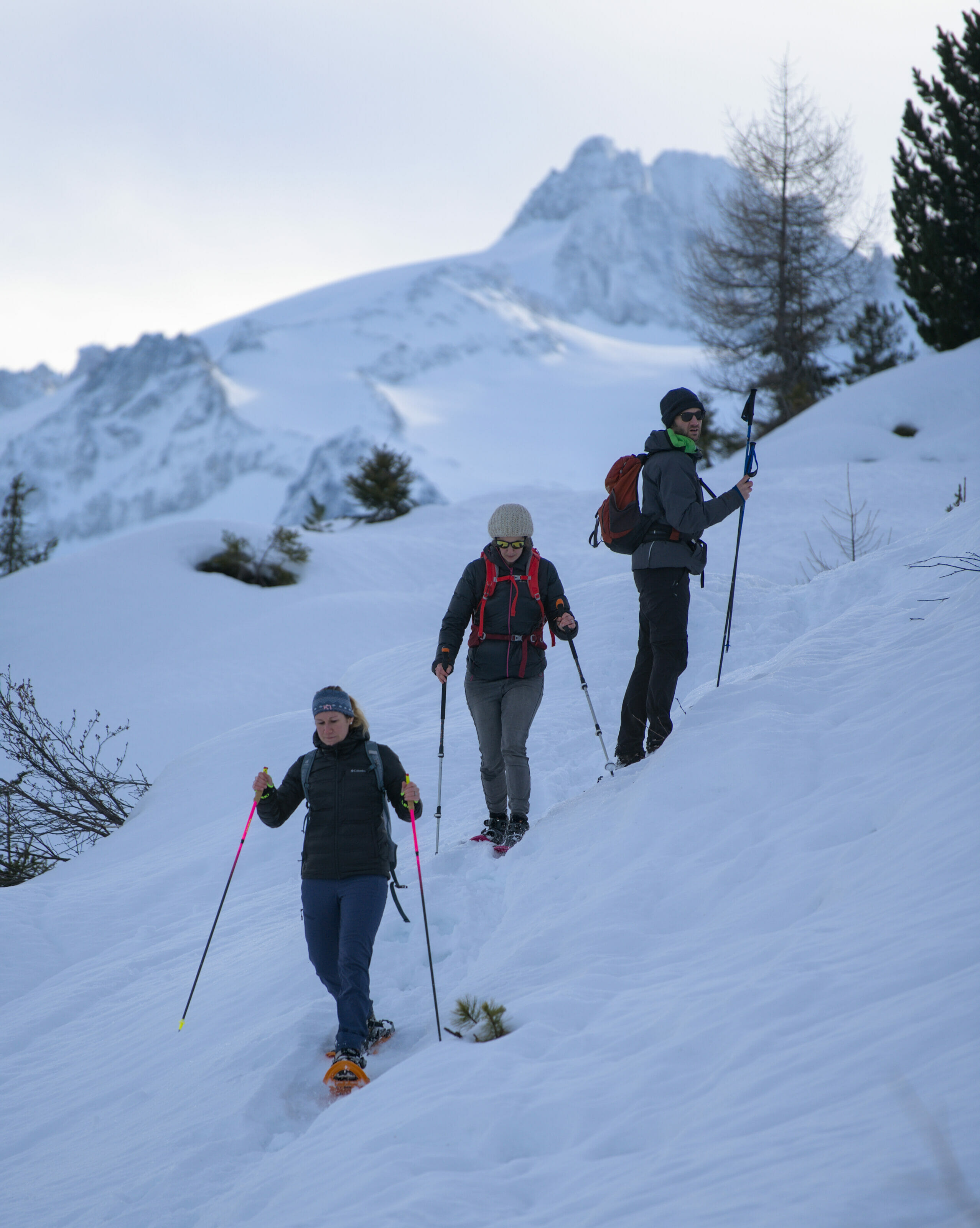 Col du Forclaz: which hikes to do in summer and winter?