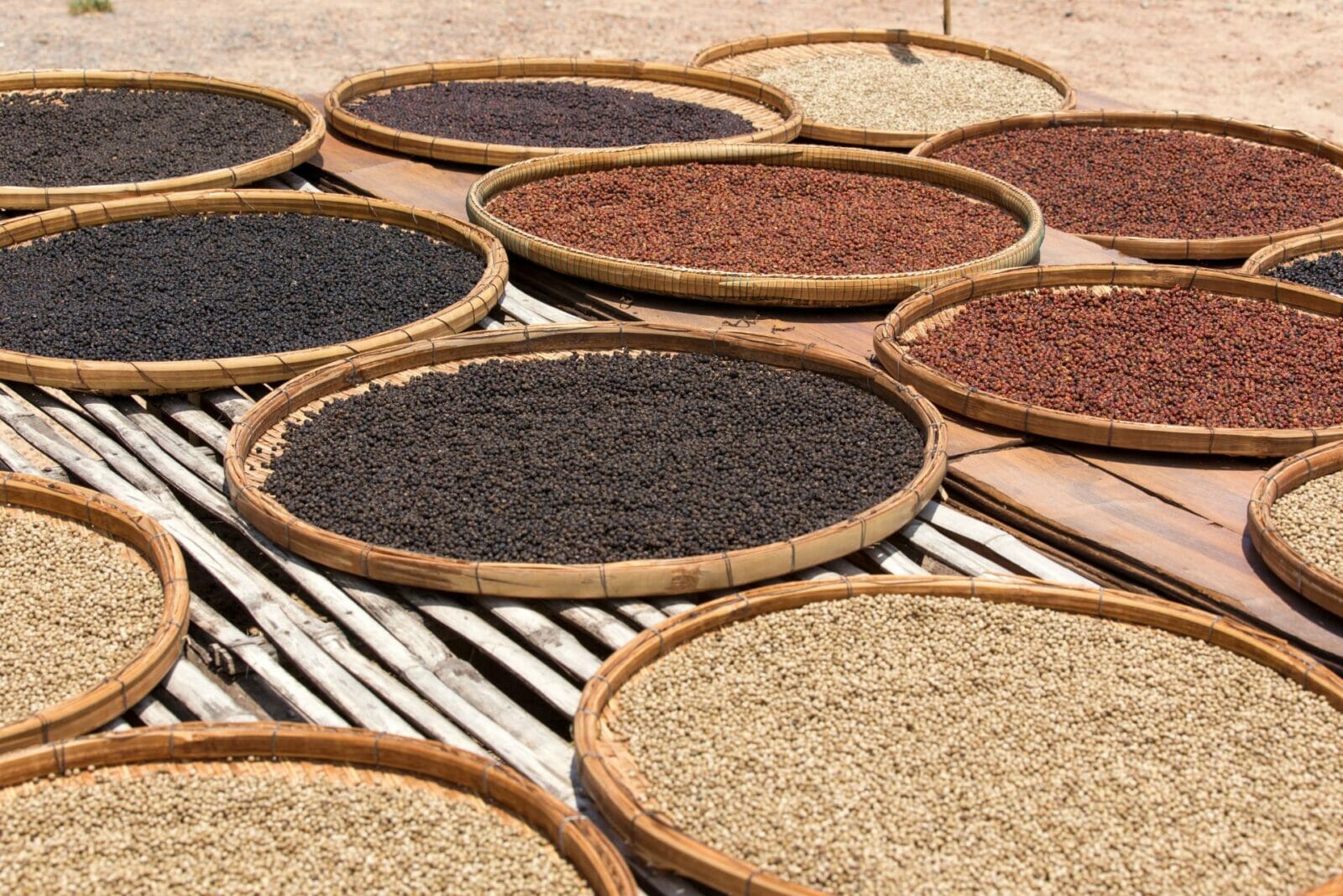 Kampot and Kep: the essential things to do for a perfect trip!