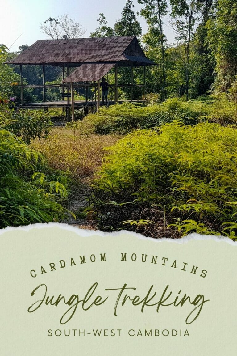 Koh Kong and the Cardamom Mountains: a nature lover's paradise