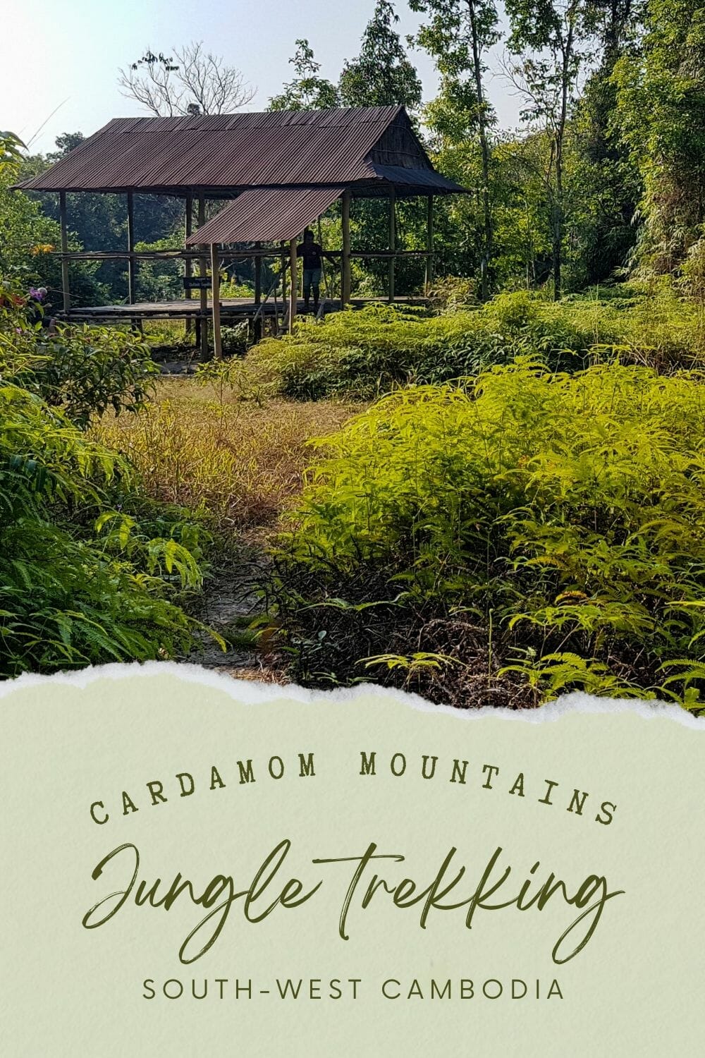 Koh Kong and the Cardamom Mountains: a nature lover's paradise