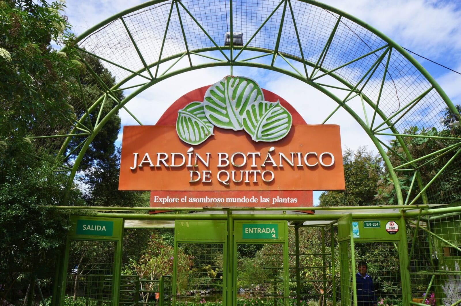 Things to do and see in Quito: our travel guide to Ecuador's capital!