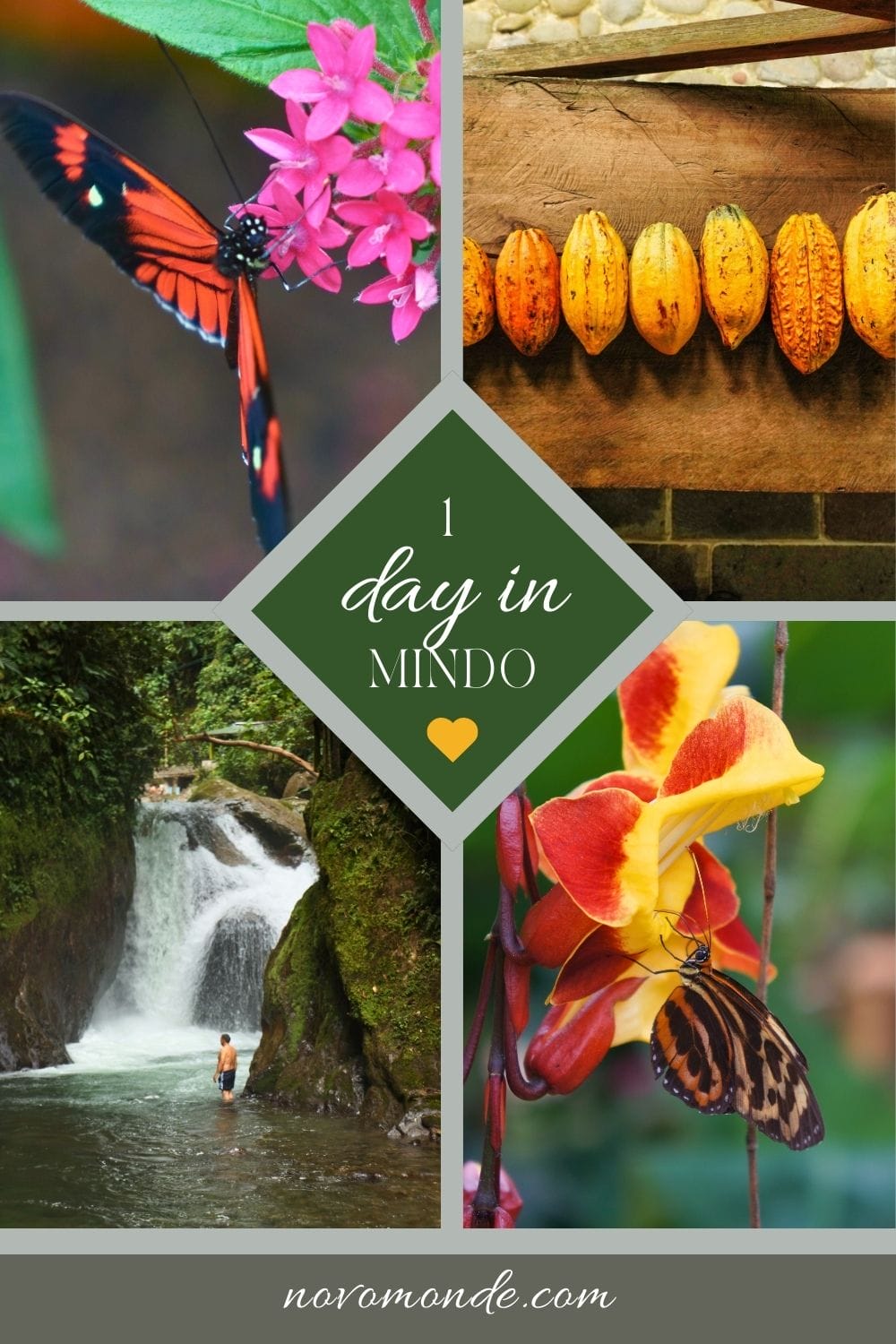 Mindo: The best place in Ecuador to see butterflies and waterfalls