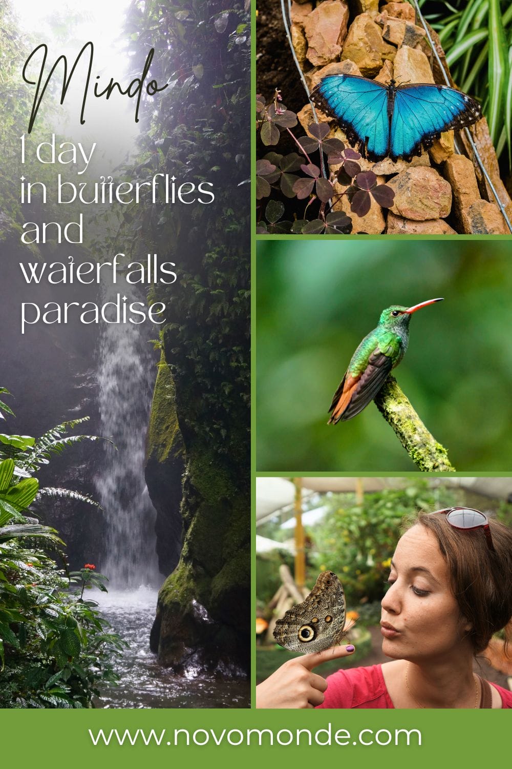 Mindo: The best place in Ecuador to see butterflies and waterfalls