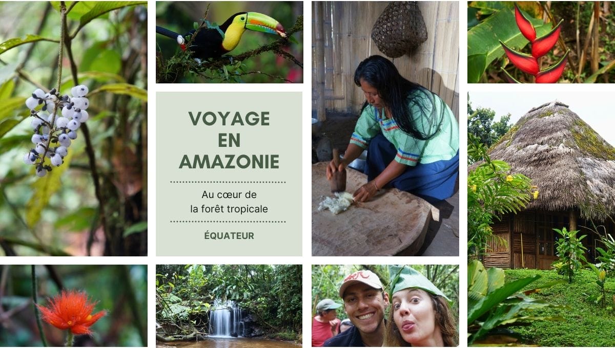 Amazonie: voyage inoubliable au cœur de la forêt équatorienne!