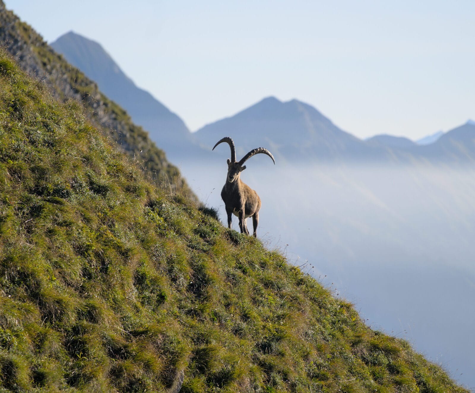 Hardergrat guide: how to hike the most beautiful swiss ridge
