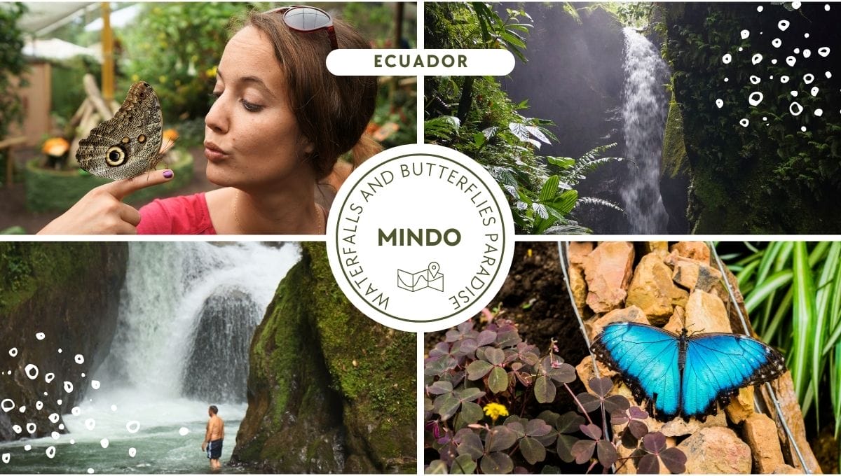 Mindo: The best place in Ecuador to see butterflies and waterfalls