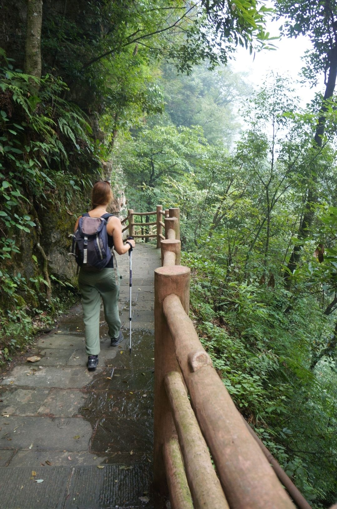 How to visit Mount Emei and hike to the top: our complete guide!