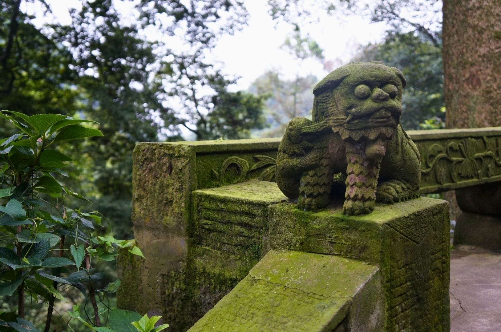 How to visit Mount Emei and hike to the top: our complete guide!