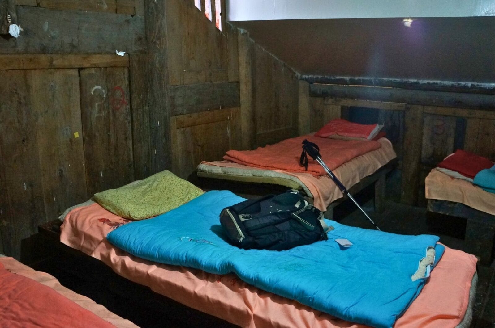 How to visit Mount Emei and hike to the top: our complete guide!