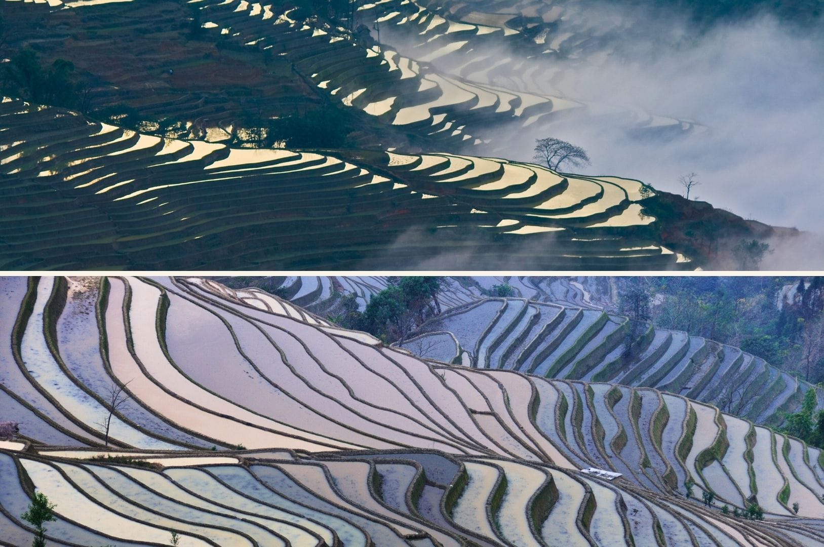 Yuanyang rice terraces in Yunnan: our comprehensive travel guide!
